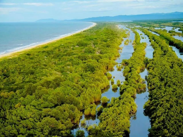 1974: Se crea el Parque Nacional Laguna de Tacarigua - Primicias 24