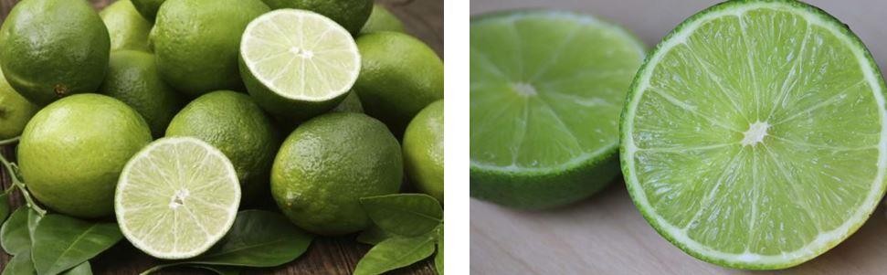 Conozca las variedades de limón y sus beneficios - Primicias 24