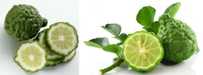 Conozca las variedades de limón y sus beneficios - Primicias 24