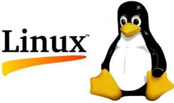 Primera versión de Linux se lanza el 25 de agosto de 1991 - Primicias 24